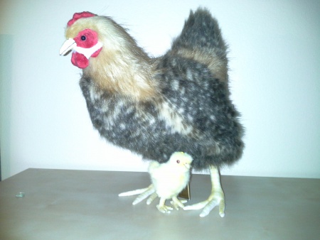 Hen Brown 14'' (4588)